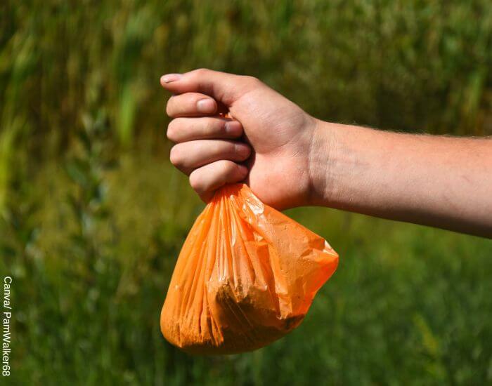 Descubre el significado de soñar con embarrarse de popo en la mano